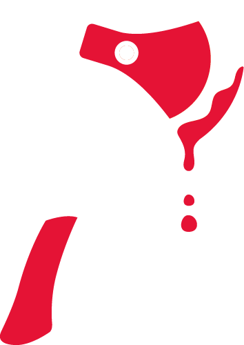 Taggle – Des jeux d'ambiance pour bien se marrer